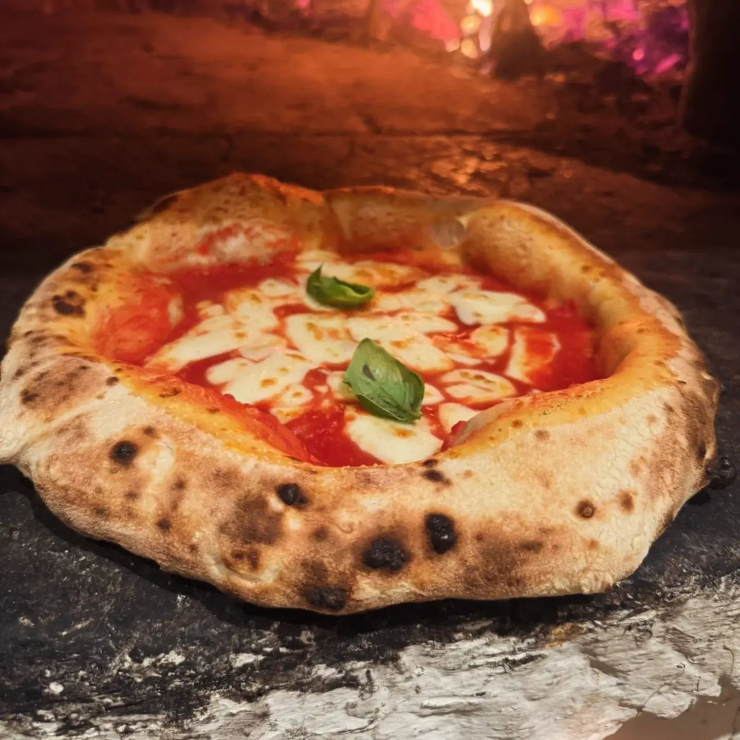 Planet Pasta | Fresh Pasta Delivery in Monaco